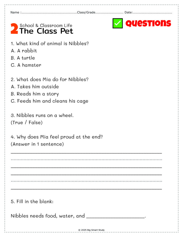 Daily School Life – Grade 1 Fiction Passages and Comprehension ...