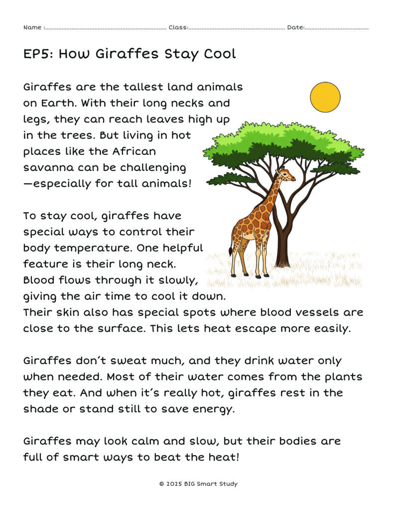 Explore Animals Through Nonfiction Reading and Writing – Grade 3 Pack ...